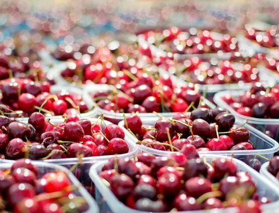 Development and application of functional packages to improve the shelf ...