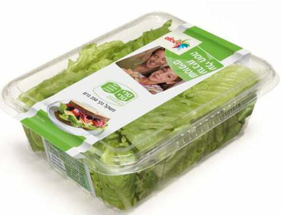 Envases activos multicapa basados en la optimización de formulaciones ...