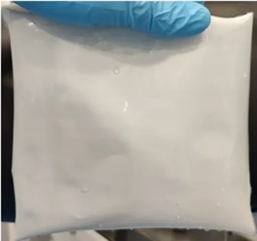 Types of membranes: What are they and how are they classified?