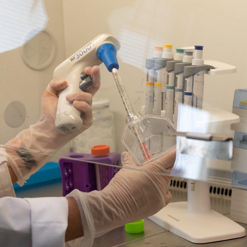 New cell culture laboratory to assess healthcare products - AIMPLAS