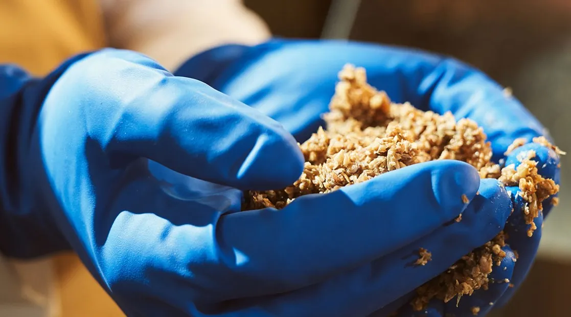 Demonstrative process for the production and enzymatic recycling of ...